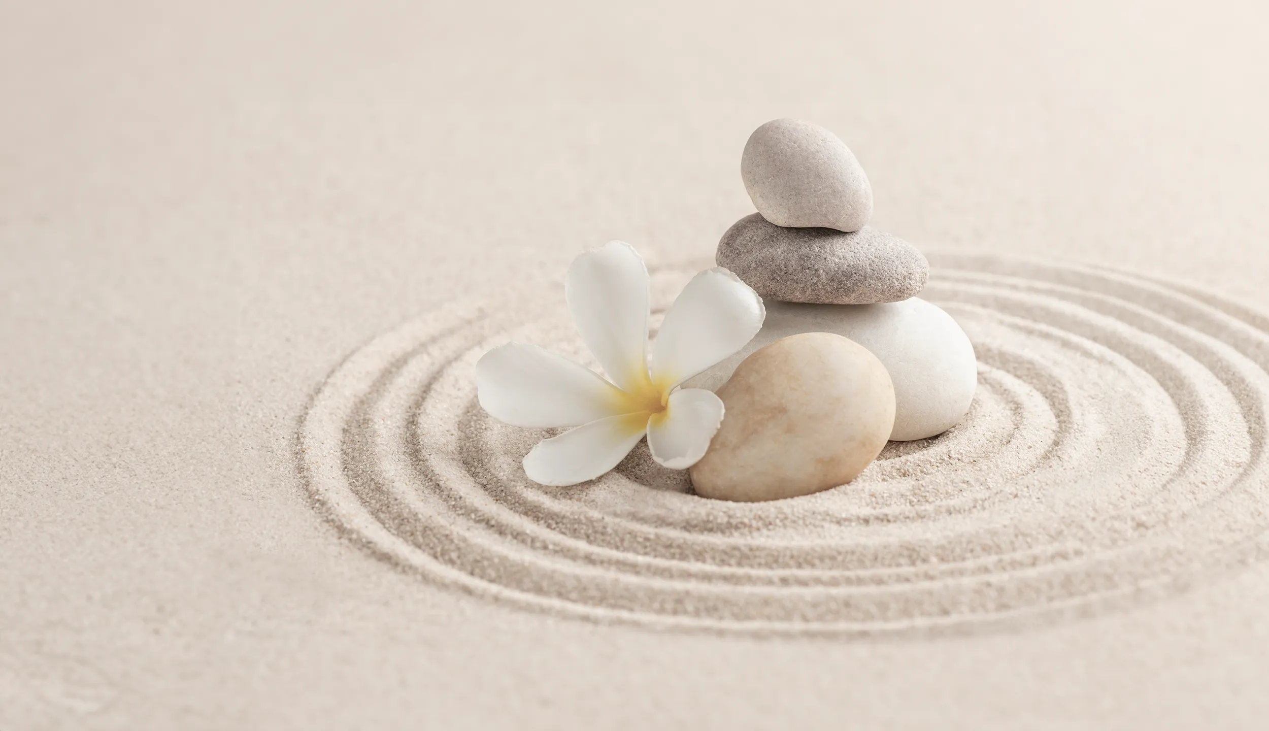 Homepage - Sonaya Private Island Estates